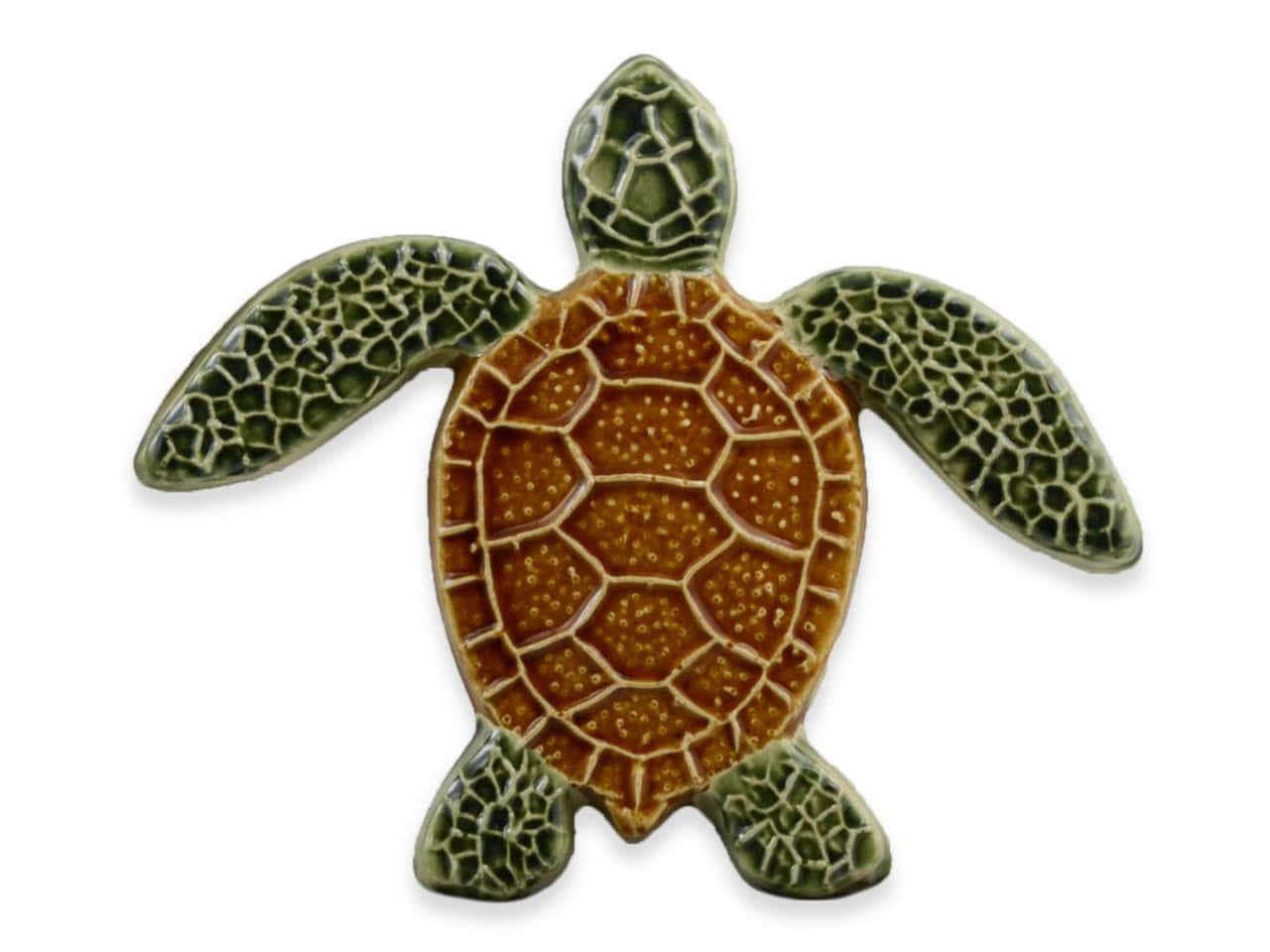 Turtle Straight - Natural - 5x5 - Aquabella