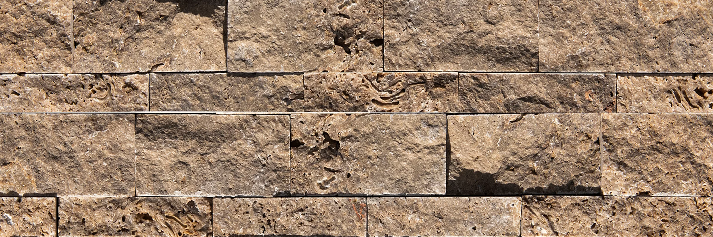 Dark Noce Collection - Aquabella