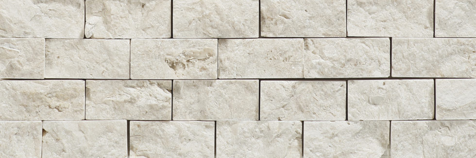 Shell Stone Collection - Aquabella