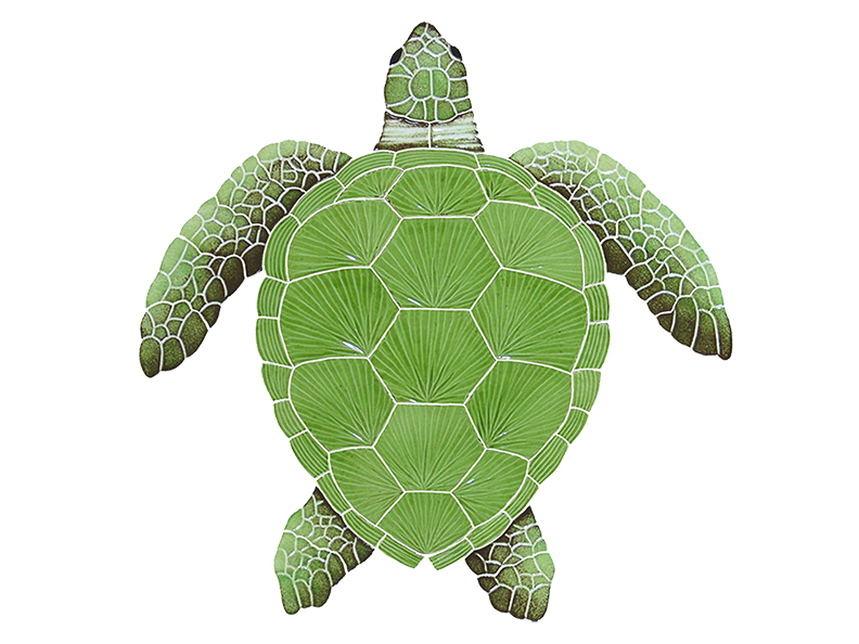 Loggerhead Turtle Green - 20” x 20” / 15” x 15” / 8” x 8” - Aquabella