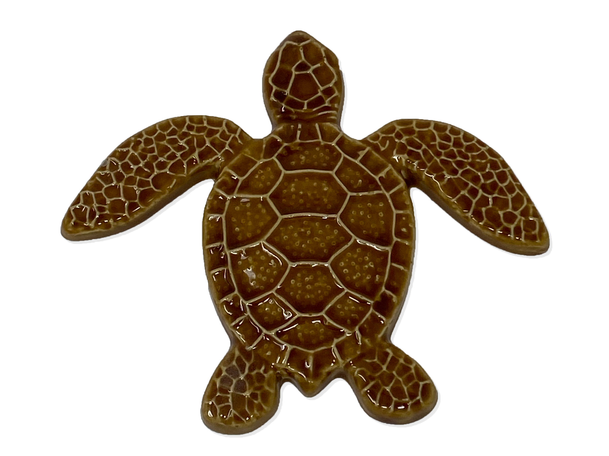 Turtle Straight - Brown - 5x5 - Aquabella