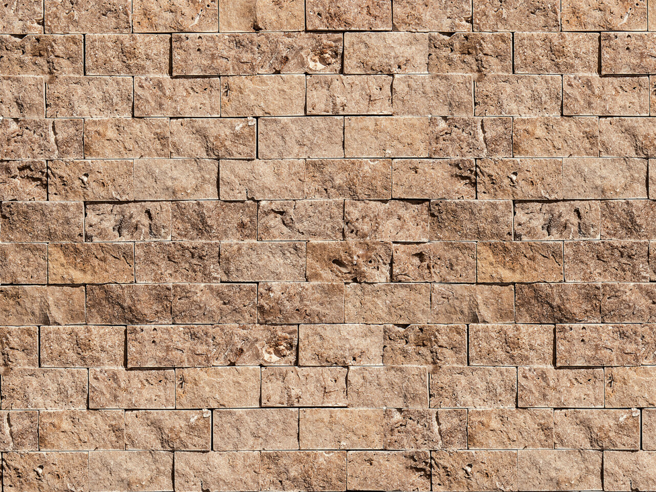 Dark Noce - Split Face - Aquabella