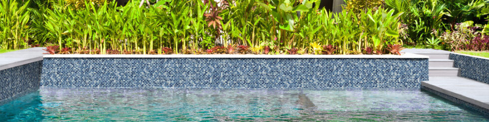 Olympus Series - Aquabella